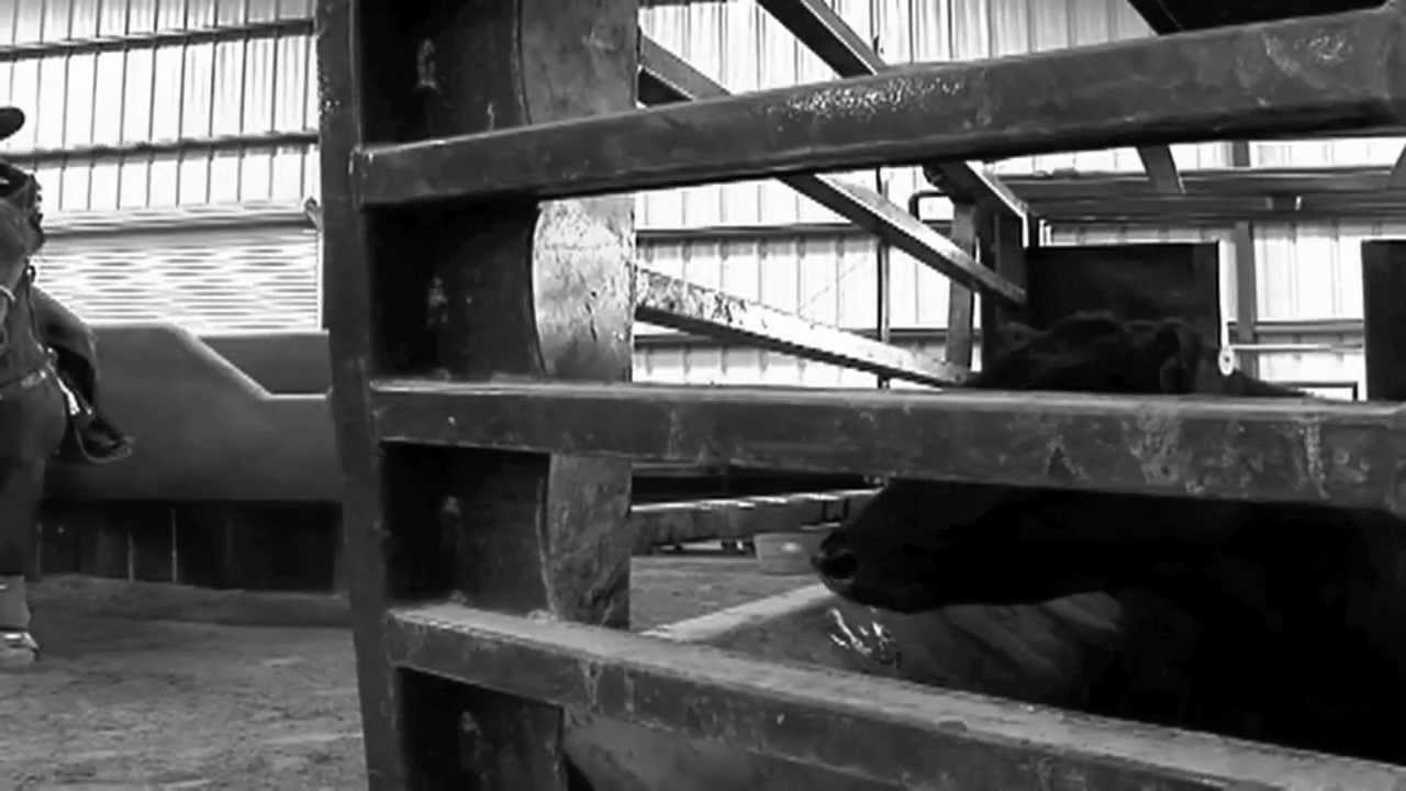 Nothin But Neck breakaway hondo, Lari Dee Guy - YouTube