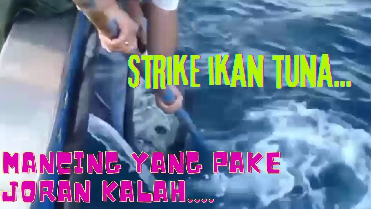 Mancing Di Laut dengan Handline...Tak Terduga Dapat Tuna Albacore ...