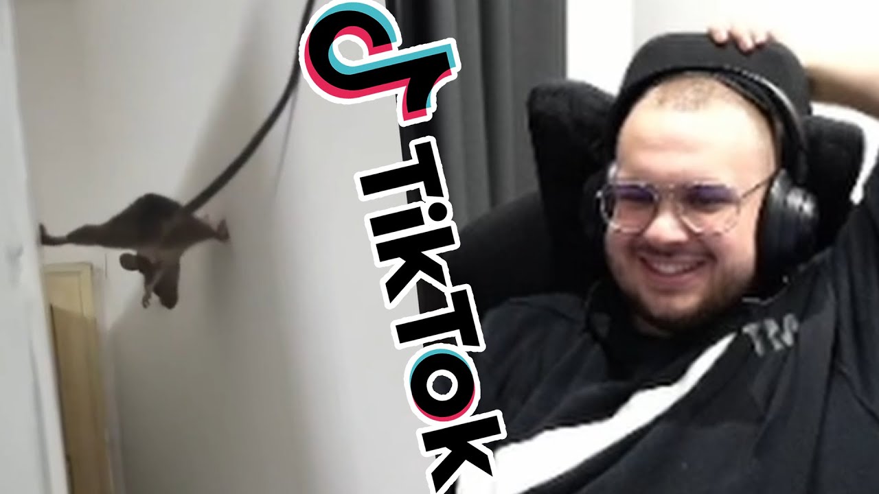 Popo Vs Tik Tok 2 Youtube