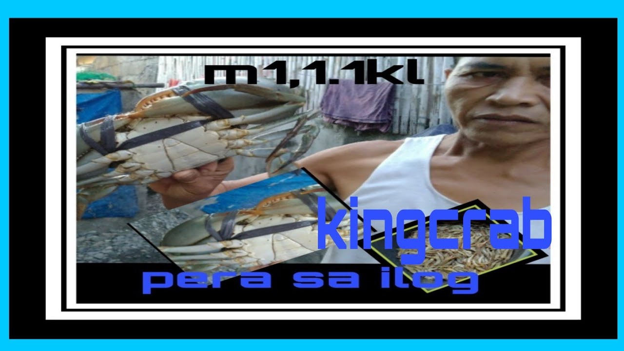 king crab | nahuli sa bukatot o baklad ni master | pera sa ilog, - YouTube