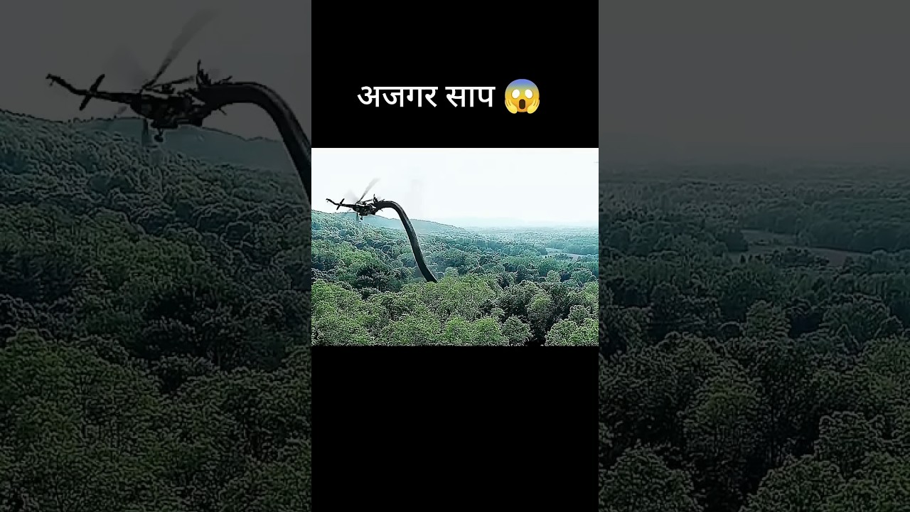 python snake 😱 - YouTube