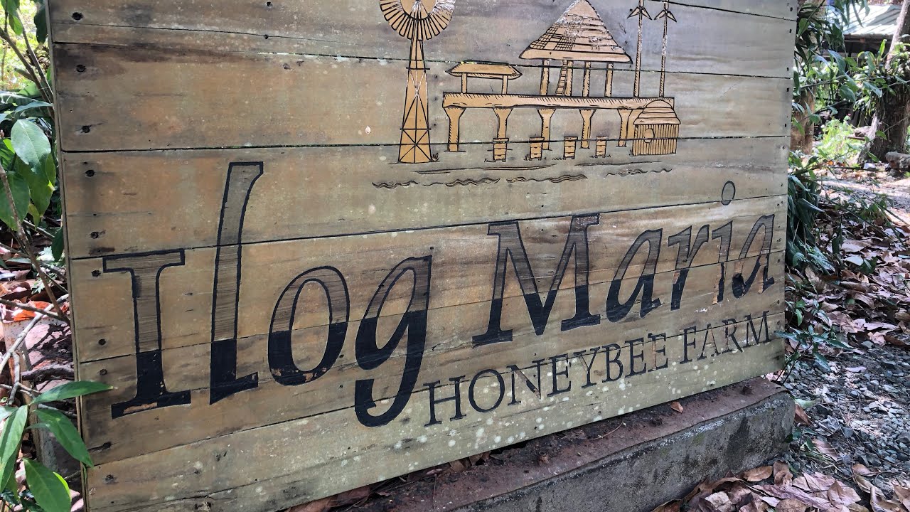weekend ride destination, ilog maria honey bee farm - YouTube