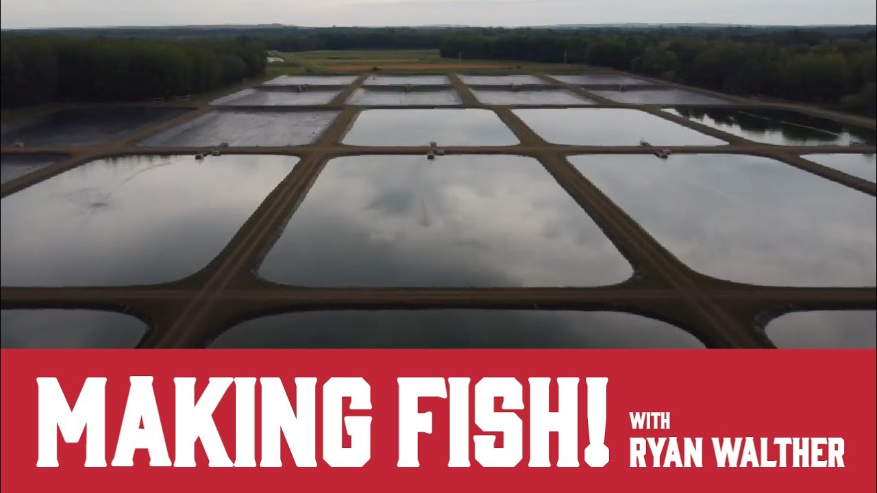 Ryan Learns How Walleyes And Muskies Are Made At The Spooner Hatchery ...