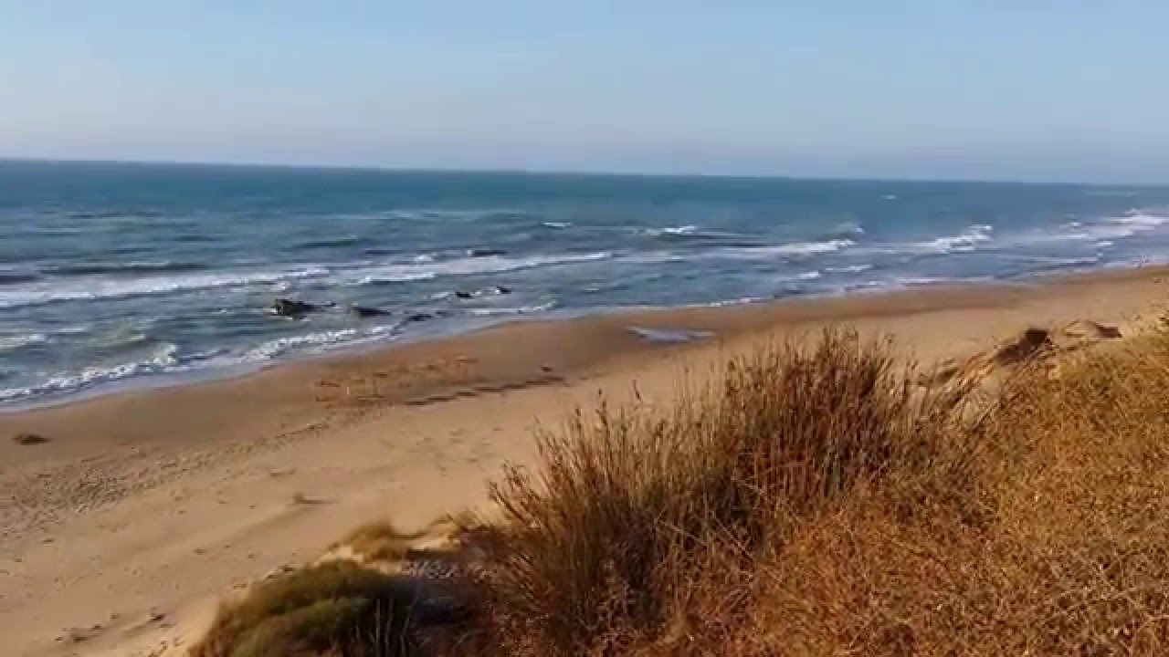 plages d'Algerie Mostaganem - YouTube