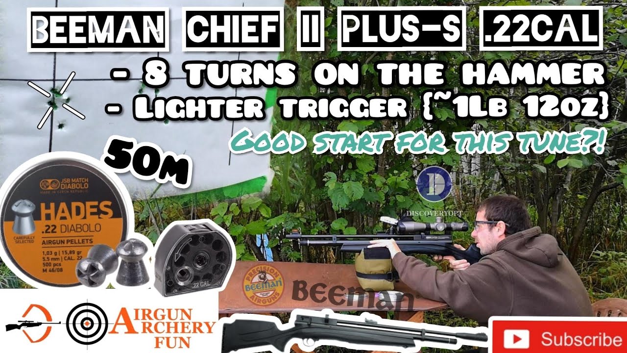 Beeman Chief II 3000psi .22cal// Hades 15.89gr from 50m @8 turns on the ...