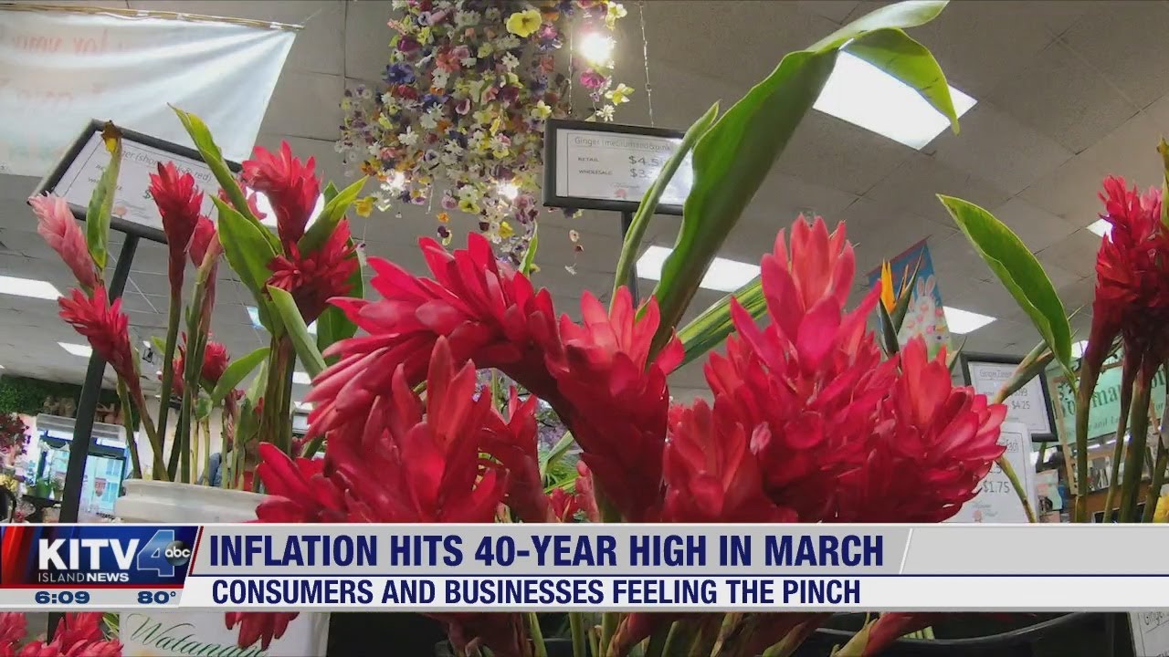 Hawaii consumers and businesses feeling the pinch as inflation hits 40 ...