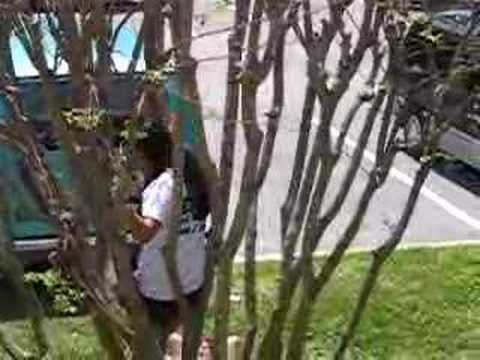 Tonya Humping a tree - YouTube