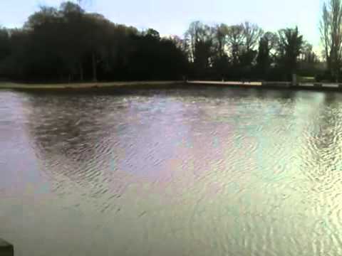 Nottingham model boat club water - YouTube