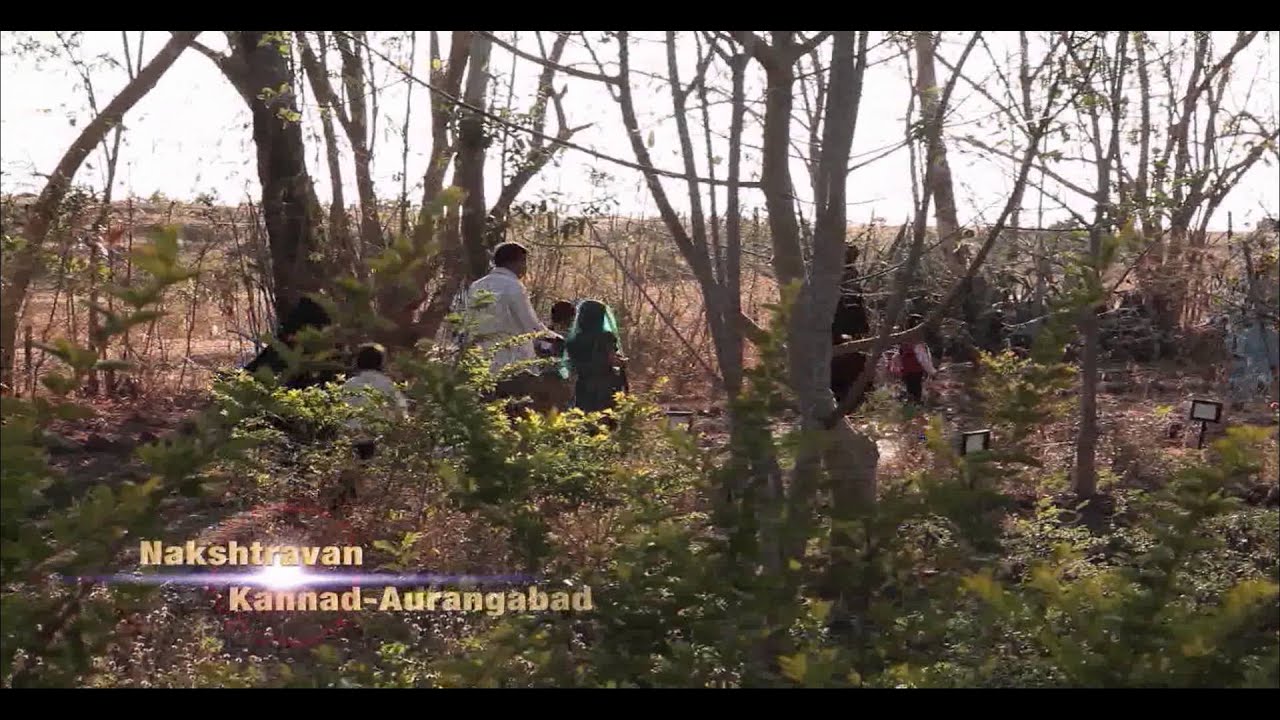 Success Stories, Social Forestry, Marathwada Division. - YouTube