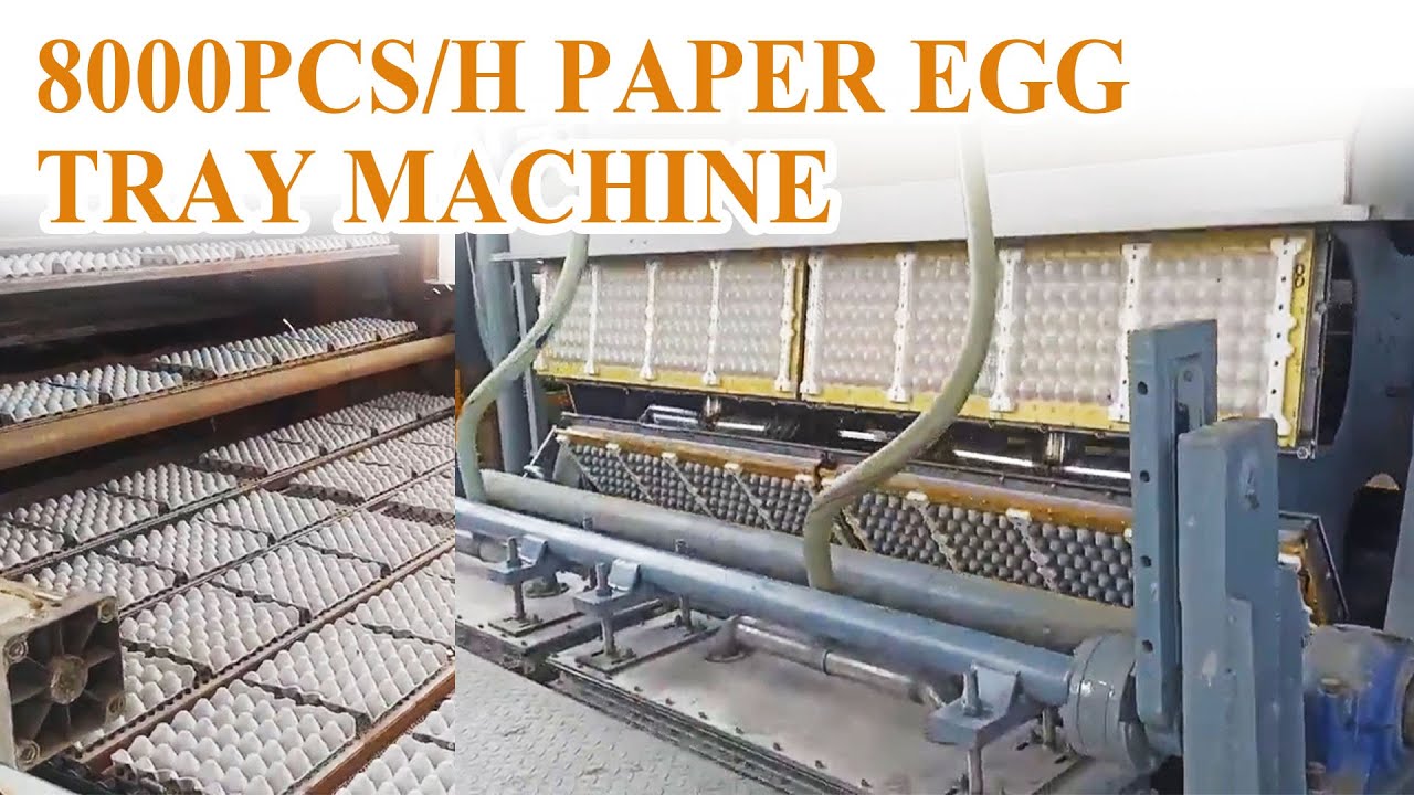 High-Capacity Paper Egg Tray Machine - 8000 pcs/h 8-Sided Production ...