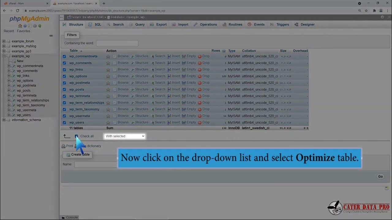 How To Optimize The Database Via Phpmyadmin In Cpanel With Cater Data Pro Youtube