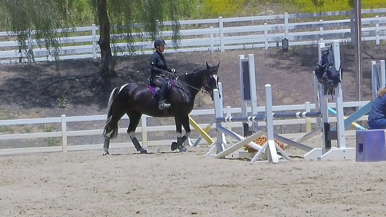 Nimeesha and Amy Jump with Bec Braitling May 24, 2020 @ Peppertree ...