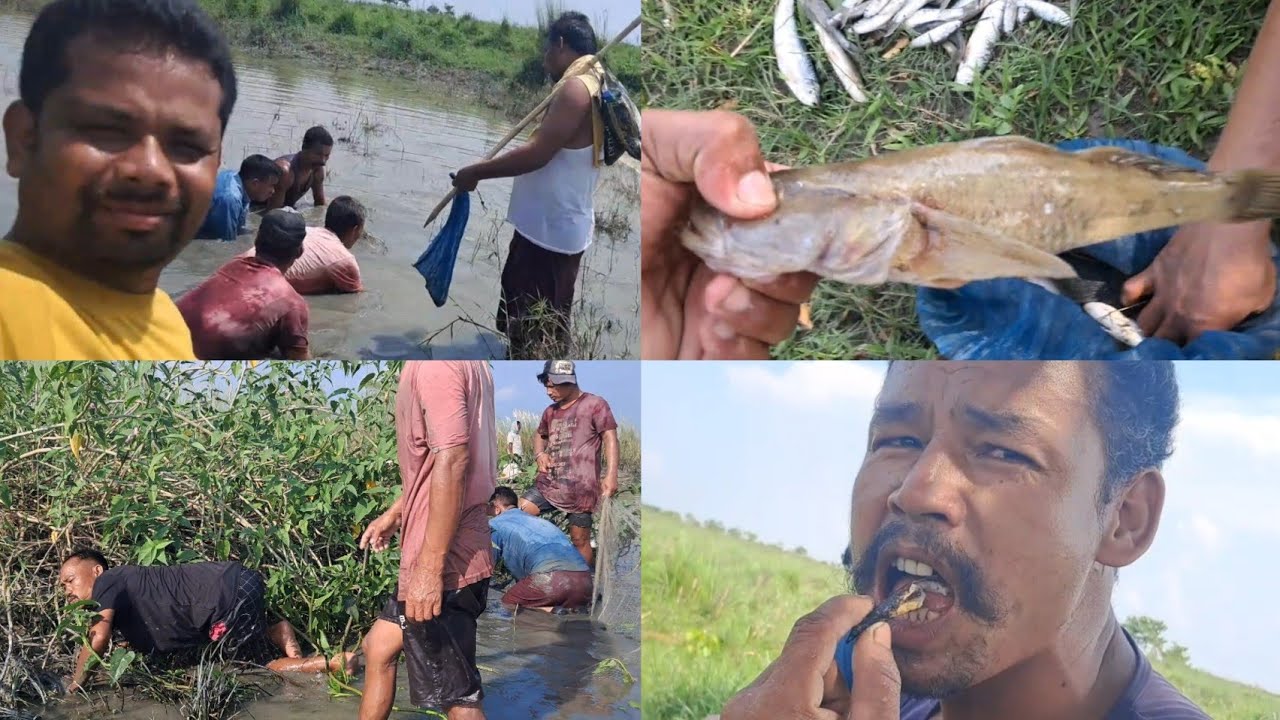 Fish hunting videos || fish hunting and cooking - YouTube