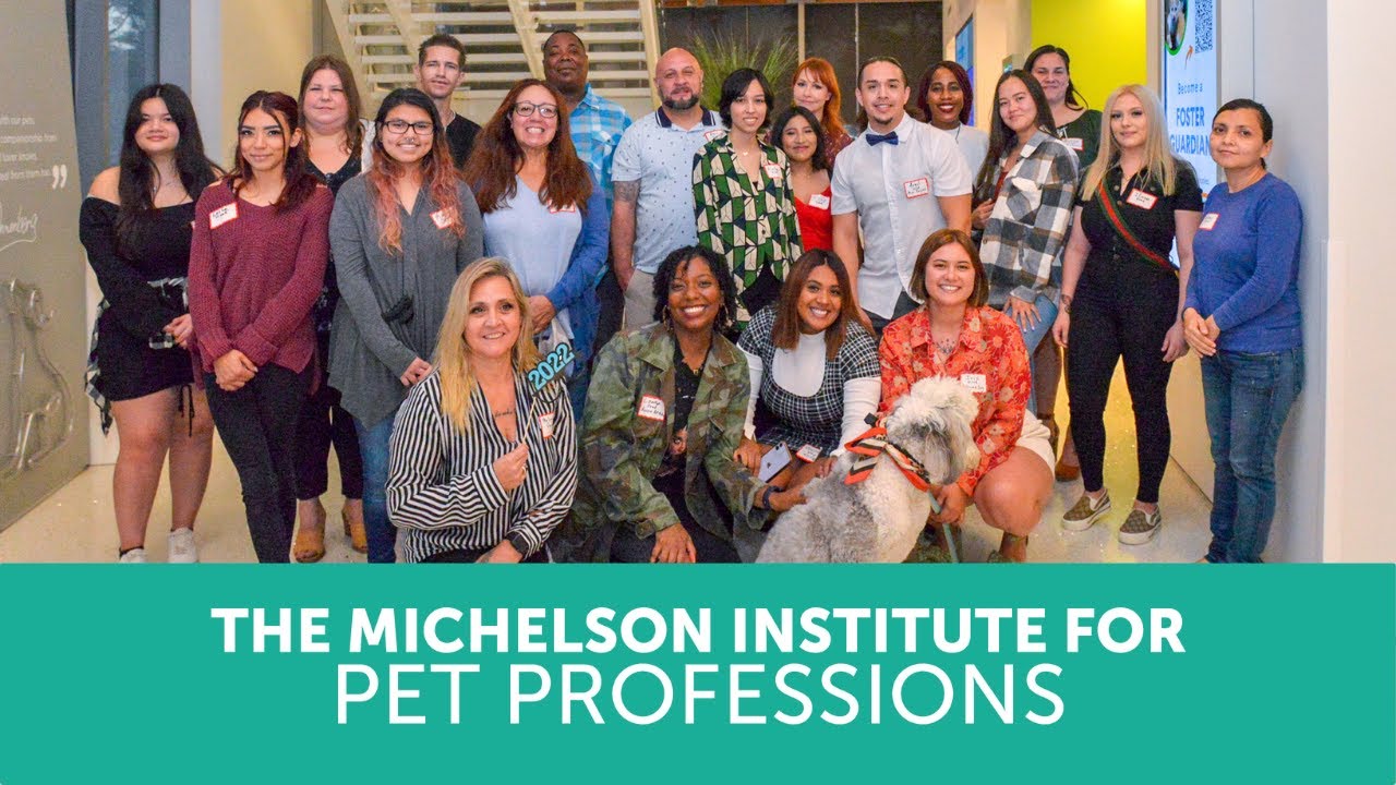 LA Pet Grooming Training, Celebrates 100 Students Enrolled in MIPP's ...