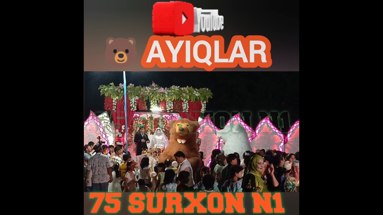 🐻 #AYIQLAR. - YouTube
