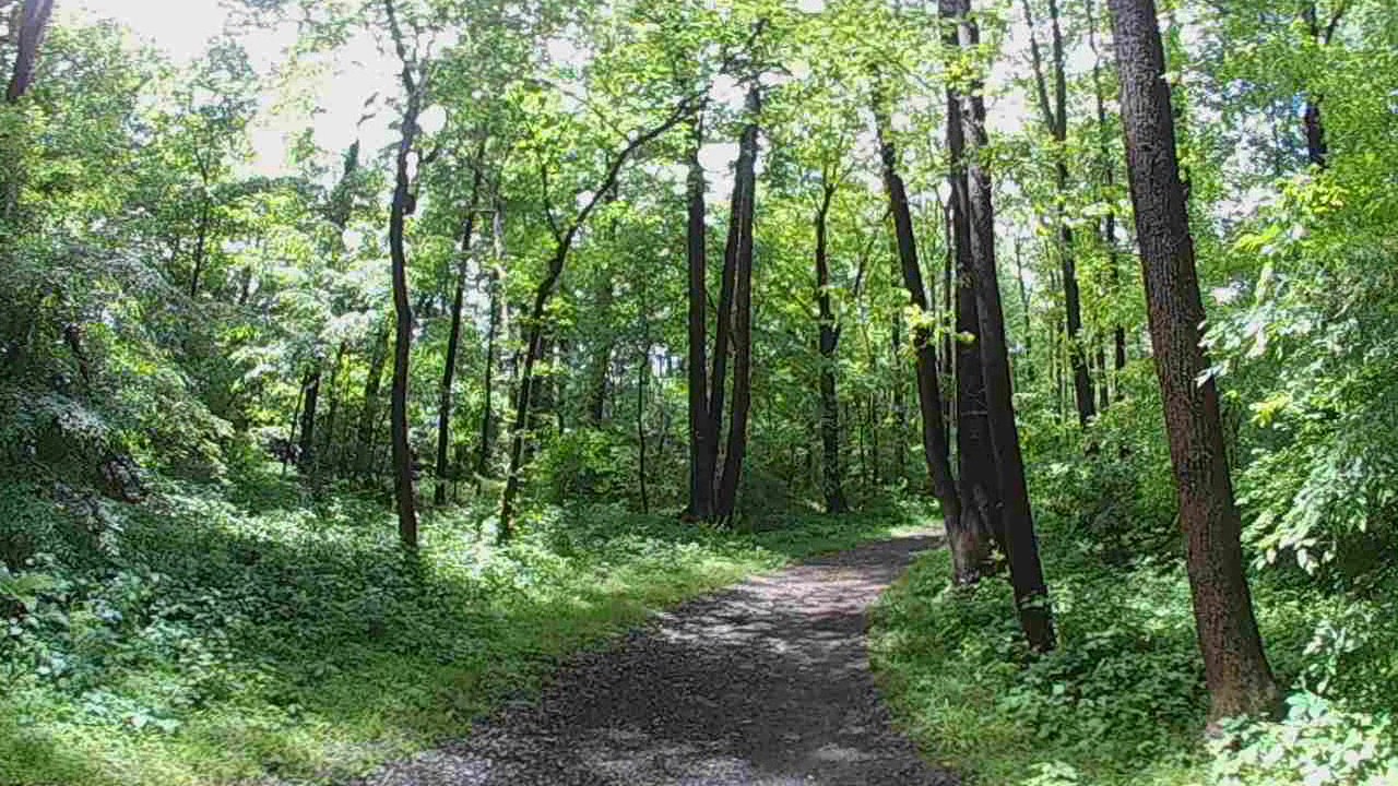 A 3D Walk in Rocky Run Stream Valley Trail Park - YouTube