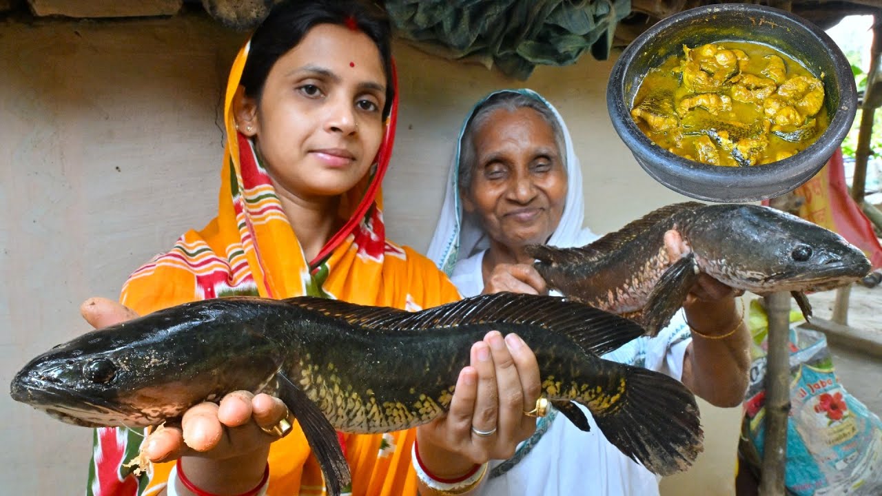 পুকুর থেকে জ্যান্ত পাকা শোল মাছ ধরে মাটির হাড়িতে ভাপা রান্না | Shol ...