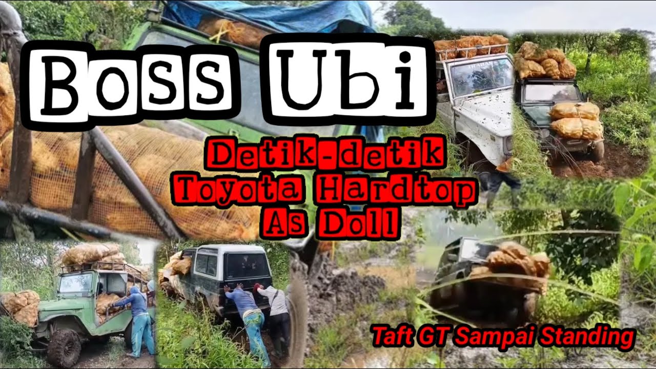 Boss Ubi Langsir Tumbangnya Toyota Hardtop - YouTube