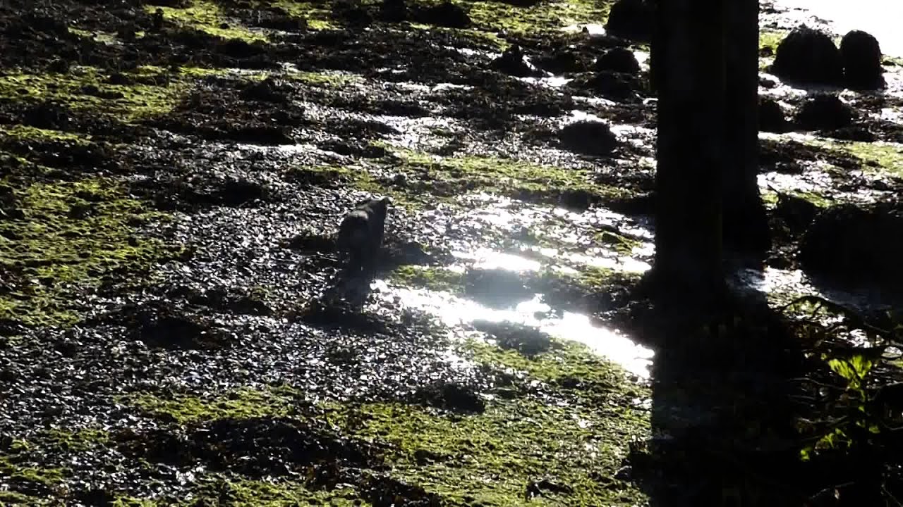 Ruby Mud Lover - YouTube