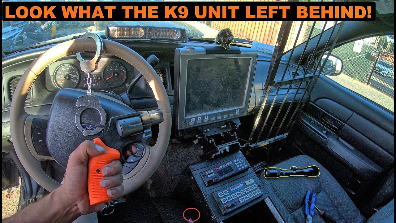 Searching an old Police k9 Unit found an Alfa Pistol! Crown Rick Auto ...