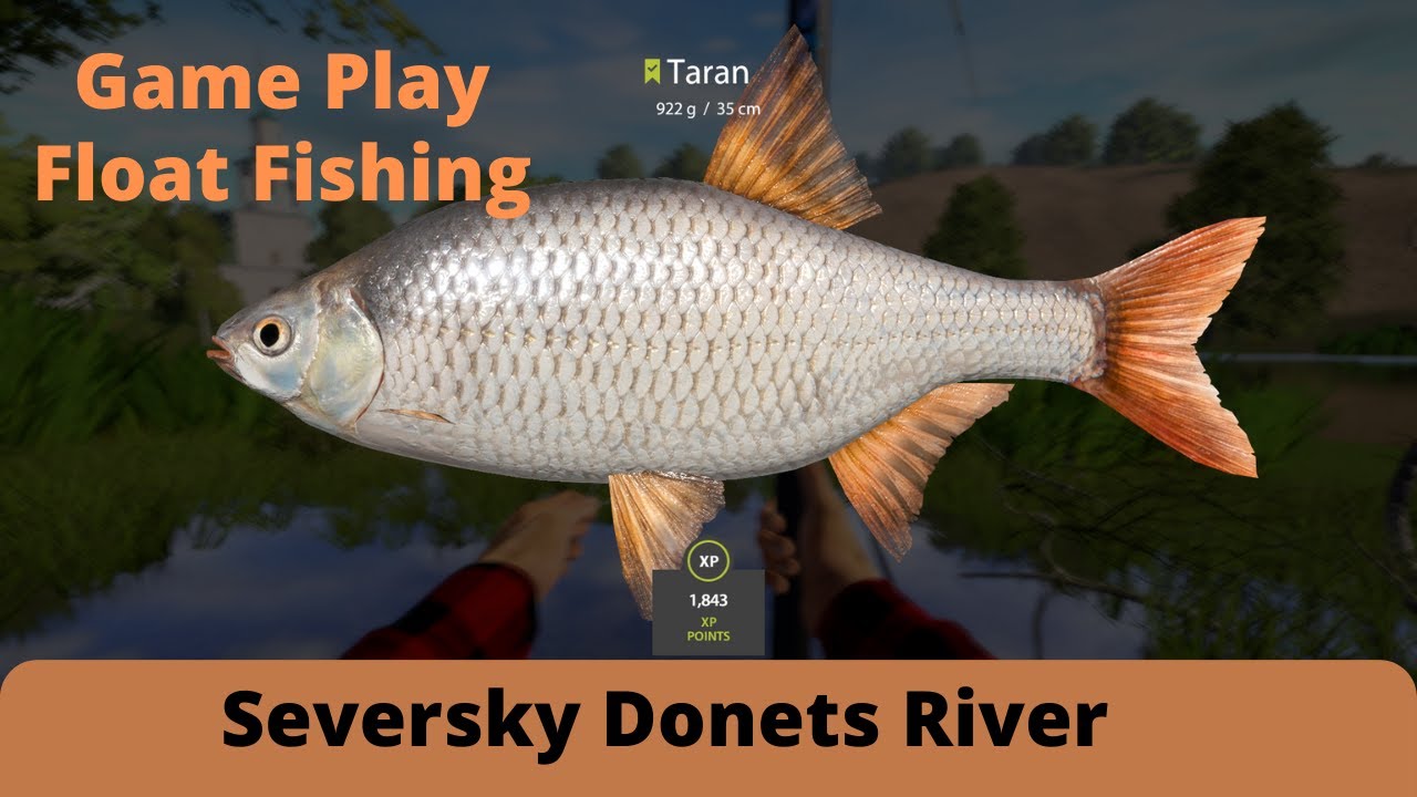 Russian Fishing 4 Indonesia | Taran Active Spot Seversky Donets River ...