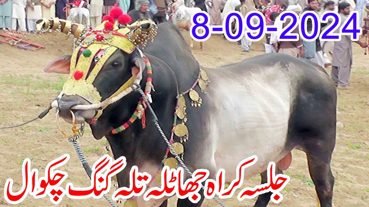 Jalsa Karah2024 Jhatala Talagang Chakwal - YouTube