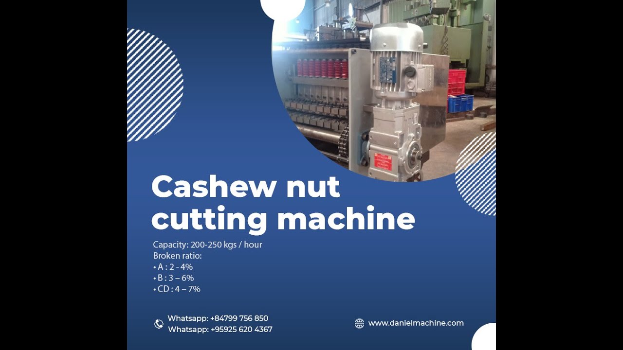Excellent cashew nut cutter machine 200-250 kg/hour. Best price. - YouTube