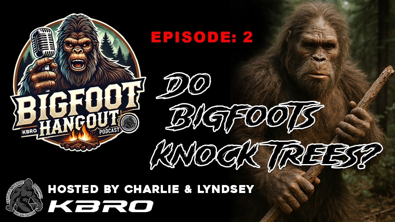 Bigfoot Hangout Podast | Episode 2 | Do Bigfoots Tree Knock! - YouTube