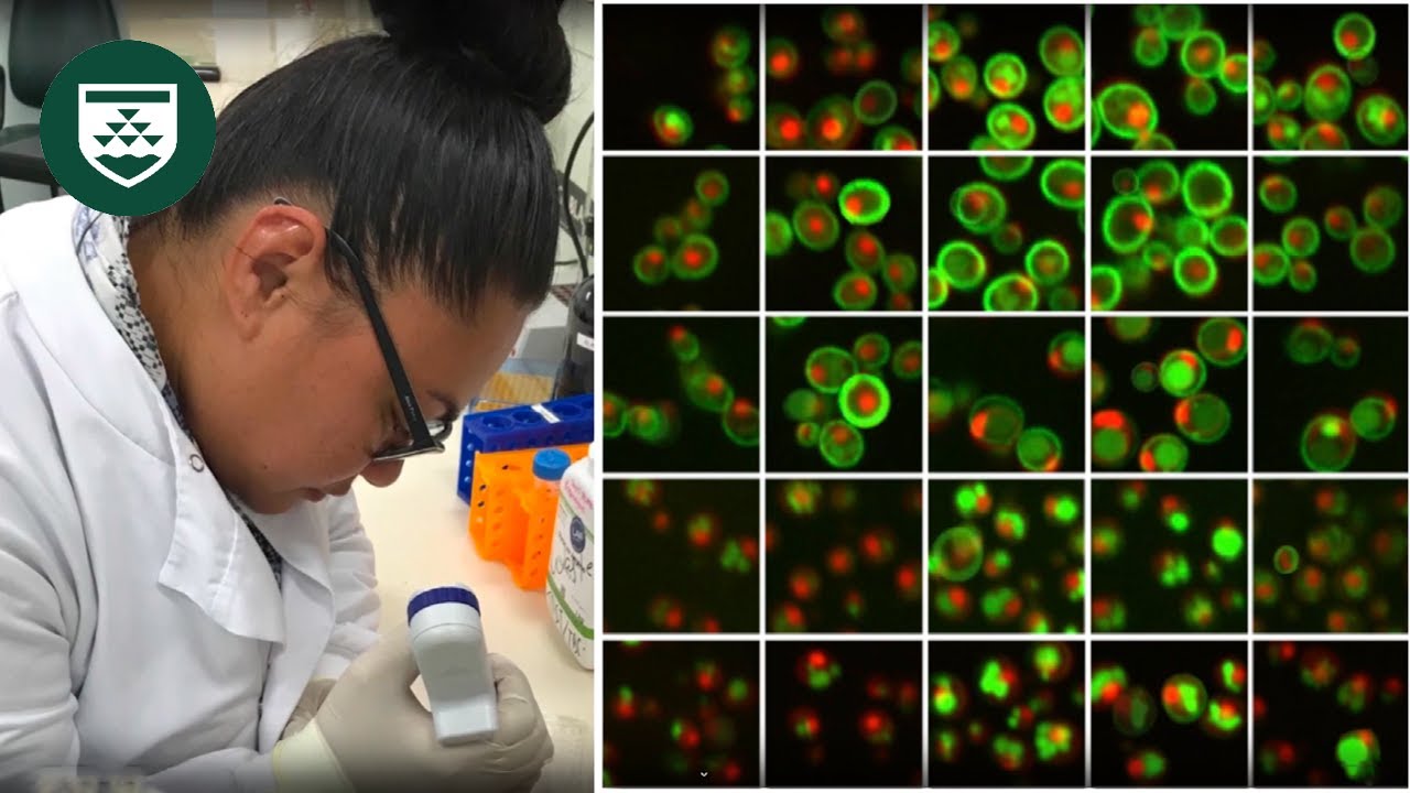 Seeseei Molimau-Samasoni on Biology - YouTube