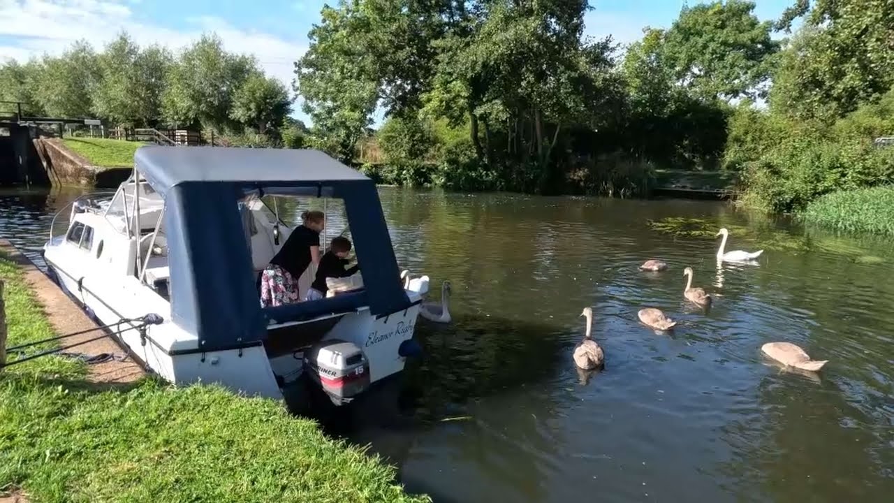 Wey Navigation: Triggs Lock to Papercourt Lock - YouTube