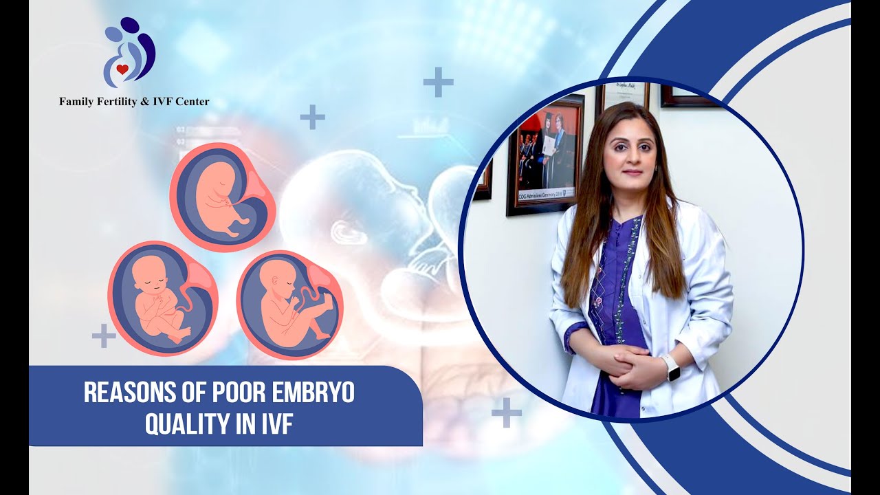 Reasons of poor Embryo Quality in IVF - YouTube