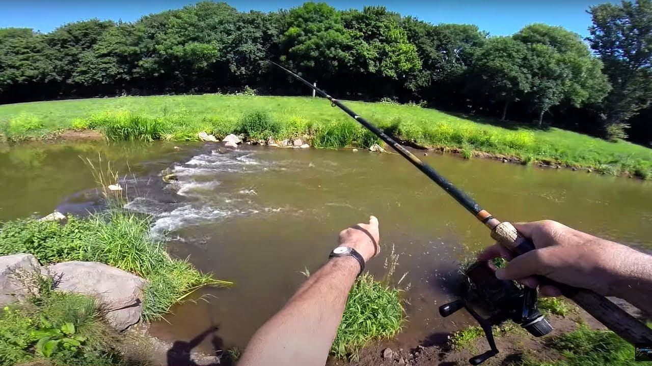 TINY River holds TONS OF FISH! - YouTube