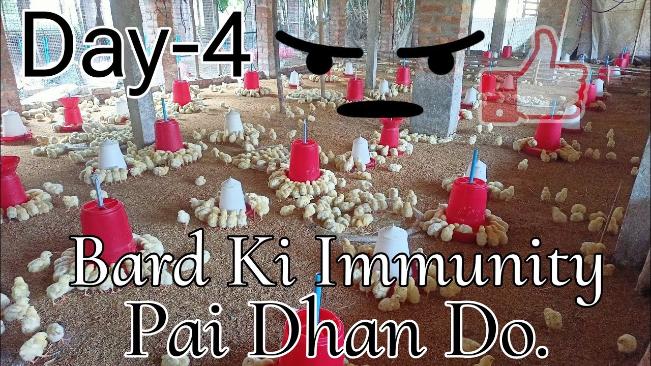 Immunity Pai Dhan Do। AFH. - YouTube