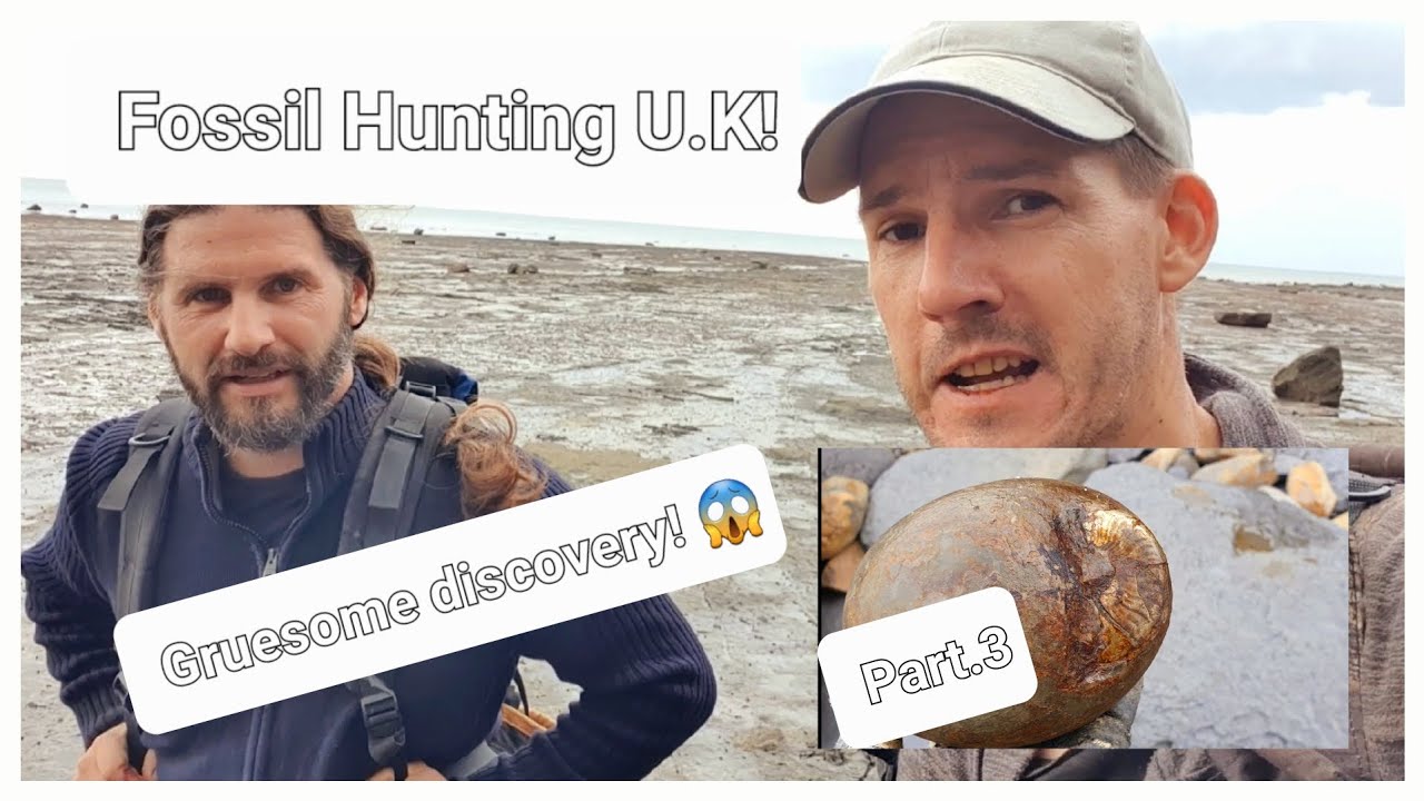 Fossil Hunting England (Part.3) with @fossiliferous! Awesome finds and ...