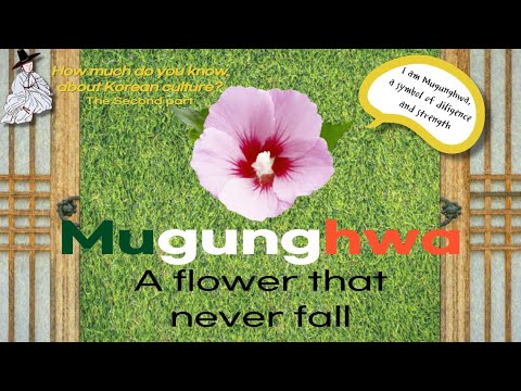 [sub] Mugunghwa, a flower that never fall | 🤔 How much do you know ...