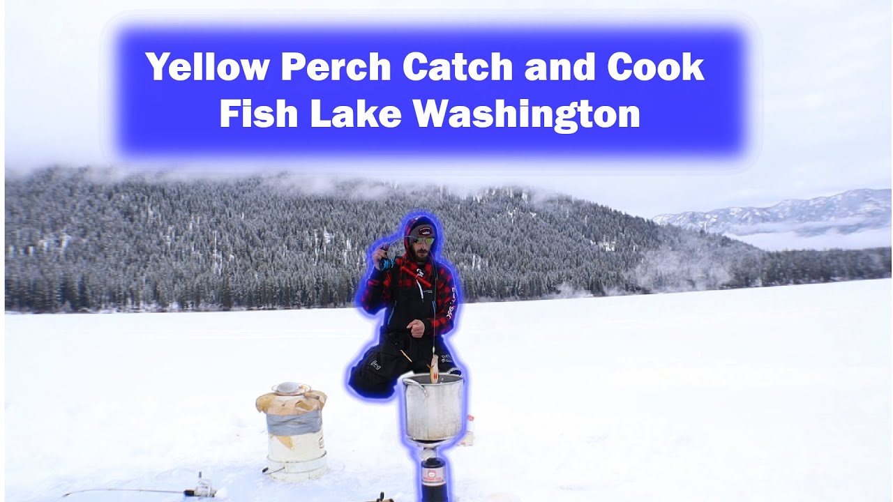 Yellow Perch Catch and Cook on Fish Lake - YouTube