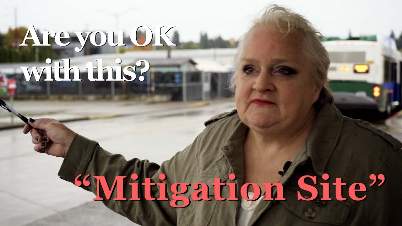 Are You OK With This? #5 Mitigation Site Candace Mercer Olympia City ...