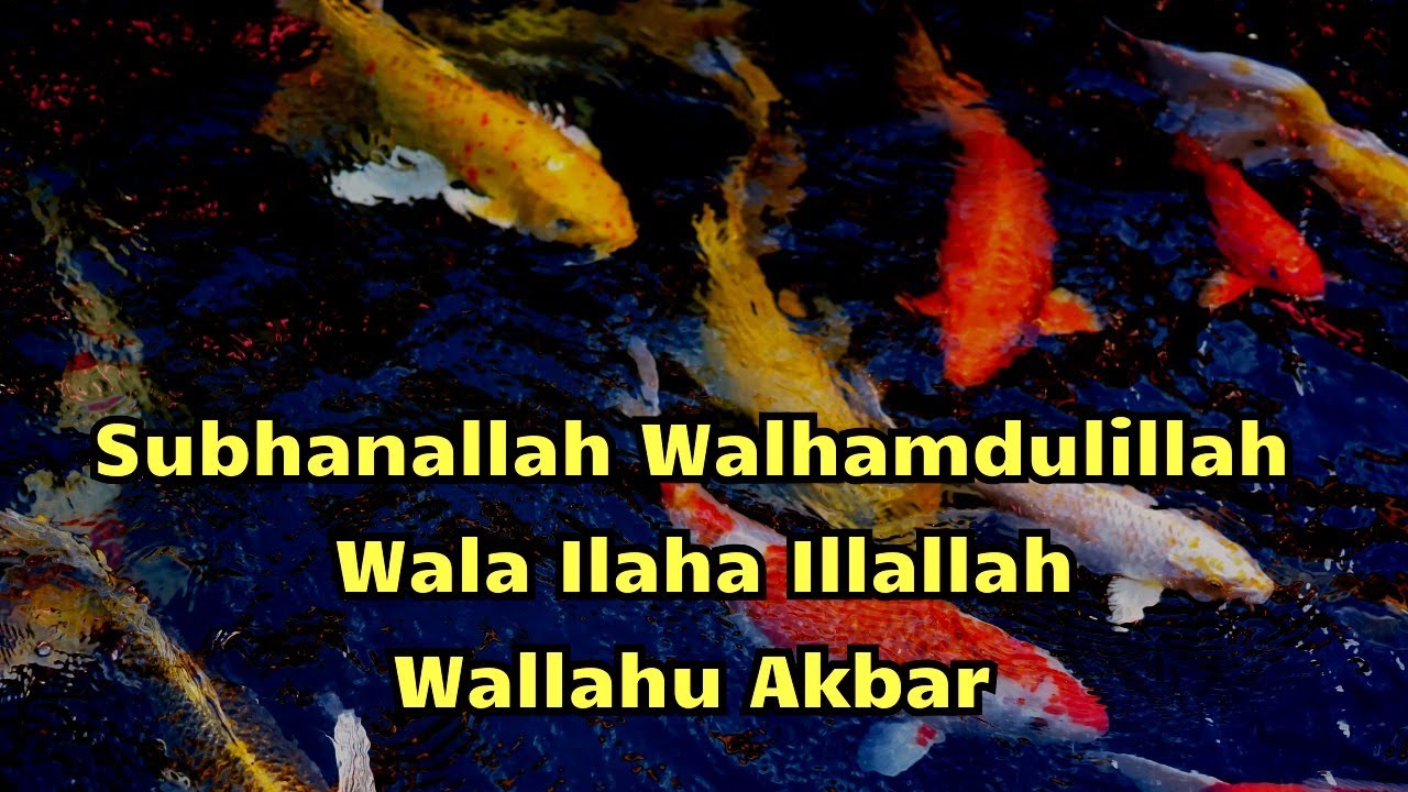 Zikir Subhanallah Walhamdulillah Walailahaillallah Wallahu Akbar *21 ...