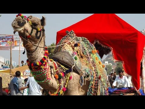 Why is Pushkar so famous? - YouTube