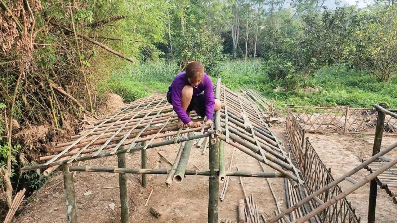 Build A Bamboo Agricultural Farm - A very Perfect Farm - Daily Farm ...