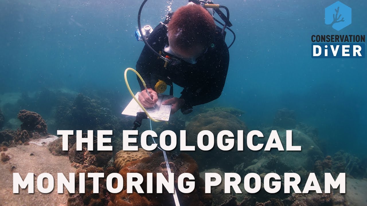 The Ecological Monitoring Program by Conservation Diver - YouTube