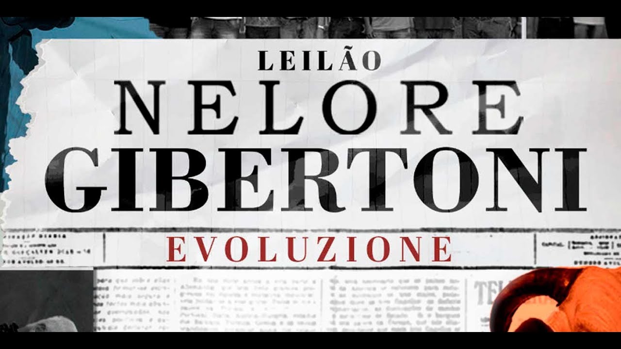 LOTE 67 RITA DO ZORZI ZOZI 22 GOLIAS FIV ZORZI ZOZI 23 zap - YouTube