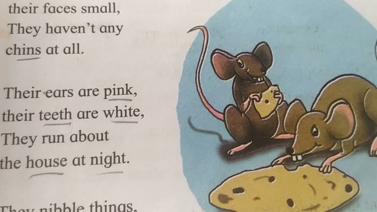 std. 2nd English - 3.1 Mice ( Explanation ) - YouTube