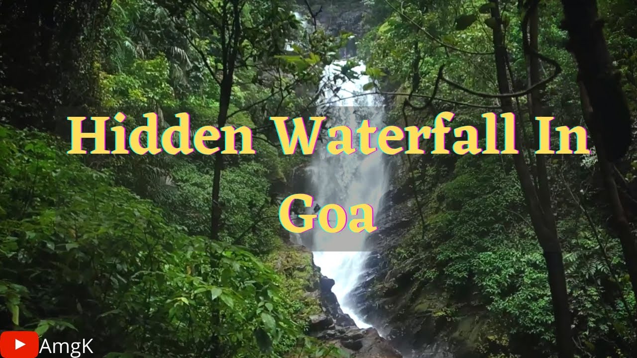 Savri Waterfall Goa | Netravali Wildlife Sanctuary |(Hindi Vlog) | AmgK ...