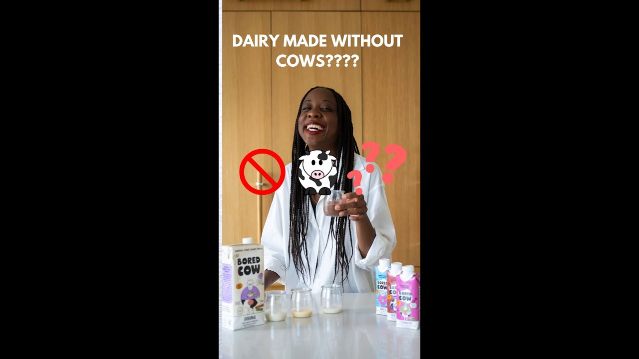 Taste testing dairy alternatives - Bored cow is dairy made without cows ...