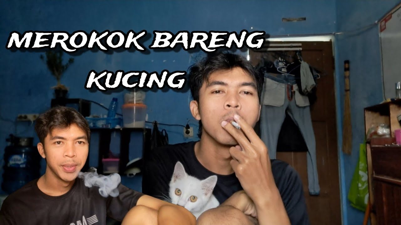 merokok bareng kucing si suryo - YouTube