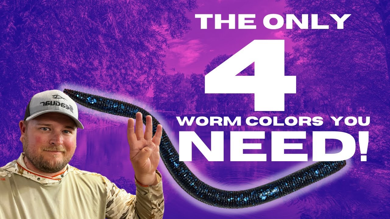 These Are The ONLY Worm COLORS You NEED For Bass Fishing!! - YouTube