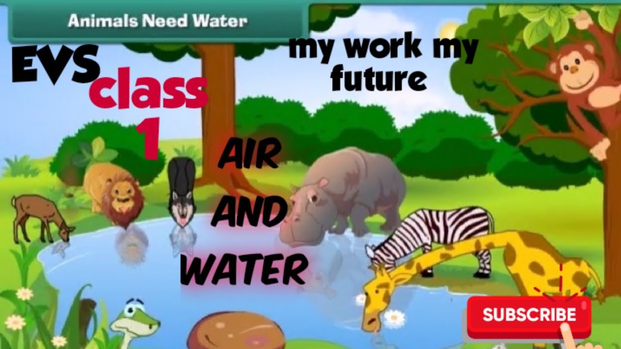 Evs ||Air and water for class 1 cbse board in English ||study evs with ...