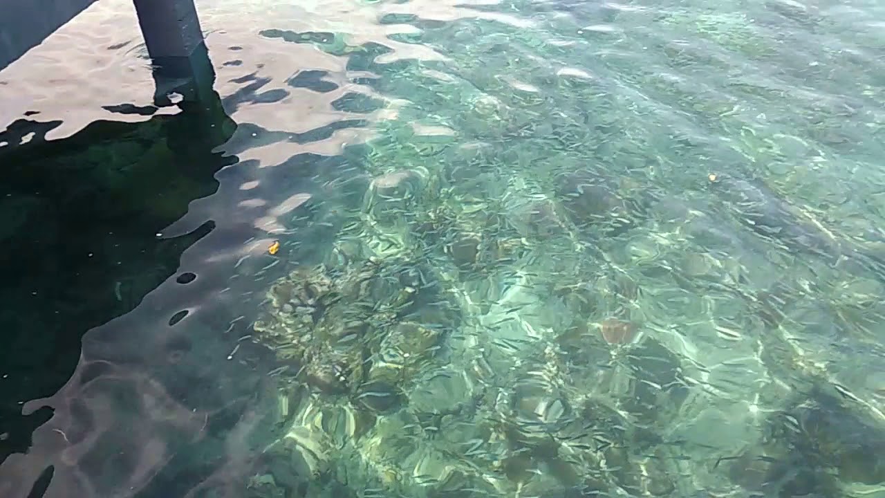 Isla jardin 1💓 - YouTube