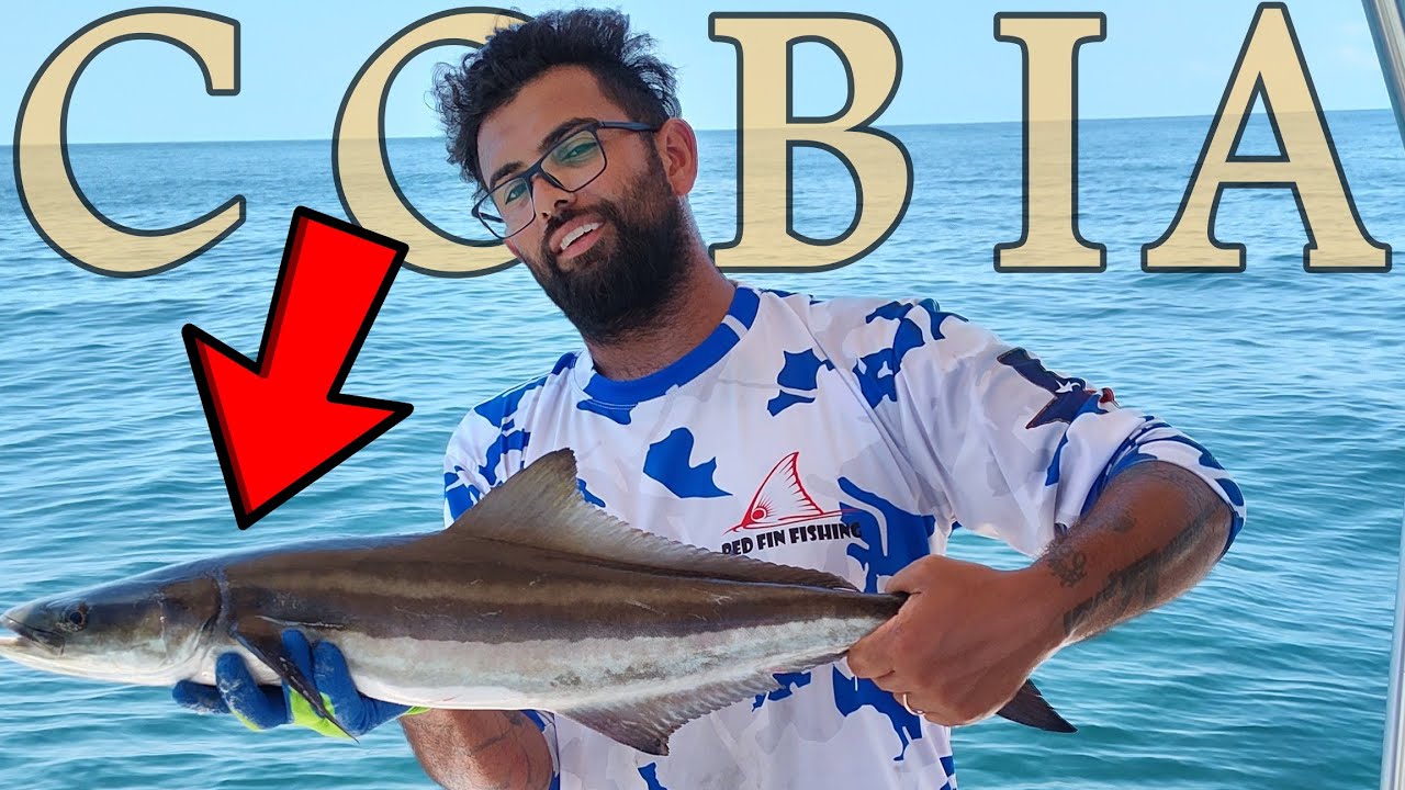 Texas Inshore Fishing Gone Wild Cobia & Speckled Trout Adventure! - YouTube